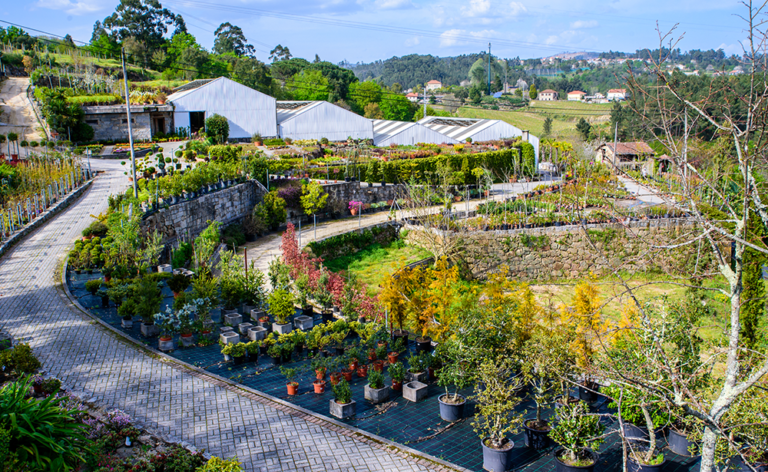 Home - Flor do Douro